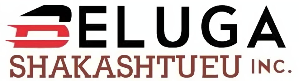 New website – Beluga Construction